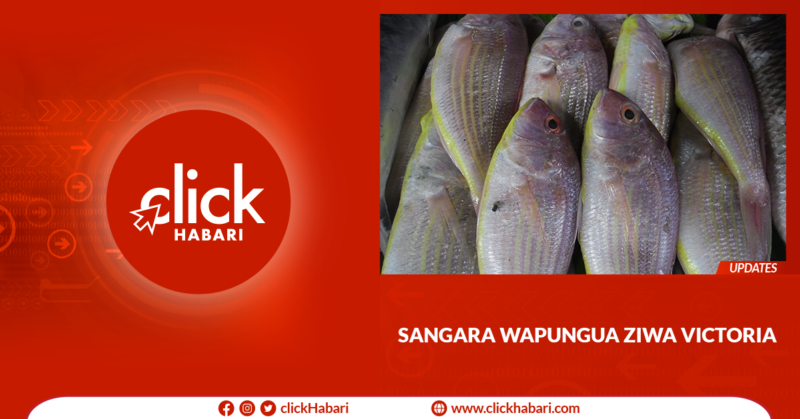 Sangara wapungua Ziwa Victoria - clickHabari