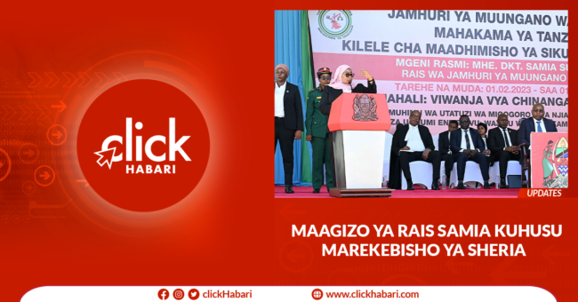 Maagizo ya Rais Samia kuhusu marekebisho ya sheria - clickHabari