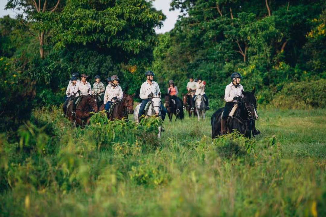 CNN Travel Yaitaja Arusha na Hifadhi ya Taifa ya Arusha Kati ya Maeneo ...